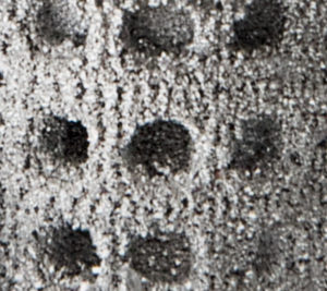 Equinoxe Stemless Shoulder | Shoulder | Exactech